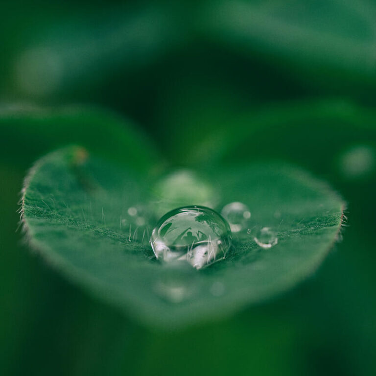 About Resinex Ion Exchange Resins | Jacobi Carbons